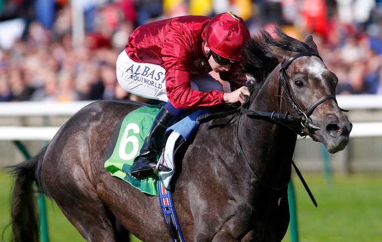 The Dante Festival | Thoroughbred Racing Commentary