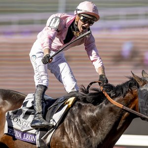 What’s been happening: Sierra Leone plans, Charyn in Japan, Pascal Bary ...