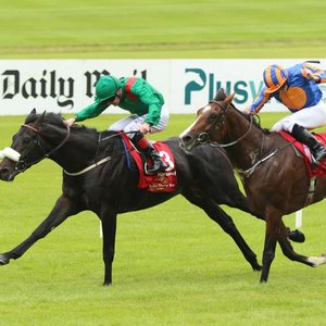 17 ‘win and you’re in’ races now included as new Irish Derby ...