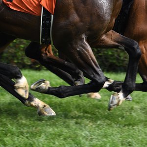 Very few are aware just how much cheating there is in racing - let’s ...