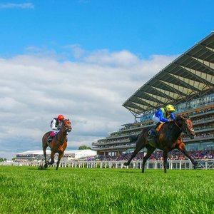 Poet’s Word pleases in pre-International workout | Topics: Poet's Word ...