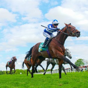 King Power team beginning to emerge as a real force | Topics: Andrew ...