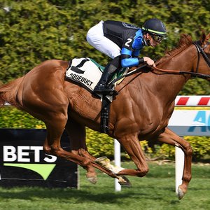 Chad Brown eyes Royal Ascot debut with Coronation Stakes on cards for ...