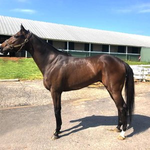 Such a roller coaster of emotions - even for a first-time micro-owner ...