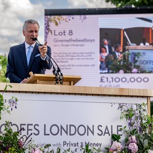 Mind the tourists! Visiting the world’s most unique bloodstock sale ...
