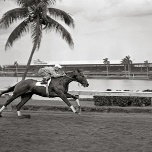 Racing history through a lens: Raftery archive gifted to Keeneland ...