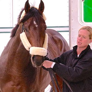 Orb’s exercise rider out to prove herself with her first stakes runner ...