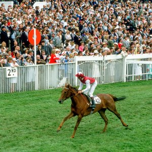 Epsom Oaks: Ten greatest winning performances of the last 50 years in ...