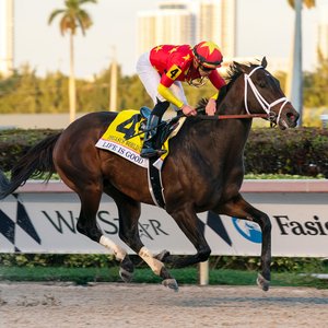 What’s been happening: Life Is Good’s ‘dynamite’ Dubai work, Arlington ...