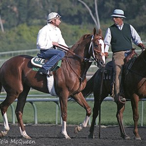 How Secretariat’s offspring contributed to the fabled career of D ...