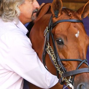 Gun Runner, Steve Asmussen and a precious moment of rare understanding ...