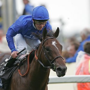 Shamardal tribute: ‘He was the best horse I’ve had,’ says Britain’s ...
