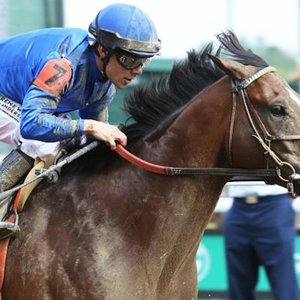 Fan favorite Cody’s Wish rides the feelgood factor back into world top ...
