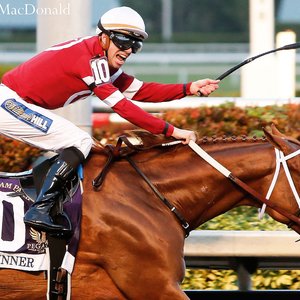 Florent Geroux: the ebb and flow of a top rider in the U.S. | Topics ...