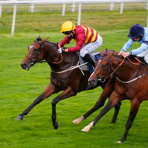 Promising juveniles close out UK’s ‘Win and You’re In’ series | Topics ...