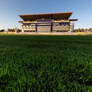 The new Riyadh turf track: flourishing and well ahead of schedule ...