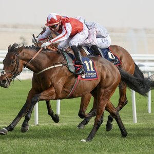 Bahrain Turf Series: Parlando lands title with victory in deciding leg ...