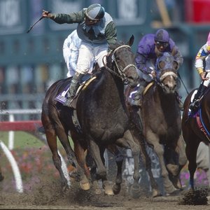 Jenine Sahadi: We need to stop with the lying and the hypocrisy ...