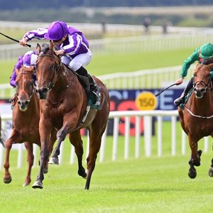 Little Big Bear crowned Europe's champion juvenile for 2022 | Topics ...