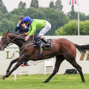 Saudi Cup card: ‘At his best, he’s in a completely different ...