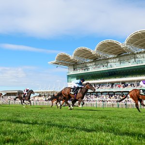 Rockfel Stakes offers clues for Classics and Breeders’ Cup | Topics ...